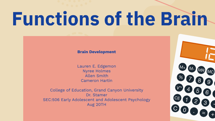 Anatomy and structure of the adolescent brain Inner Outer Normal by ...