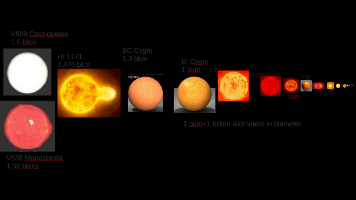 Macro Sizes pt. 3 by Judy Pelobello on Prezi