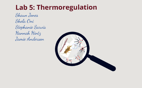 Lab 5: Thermoregulation by Shaun Jones on Prezi