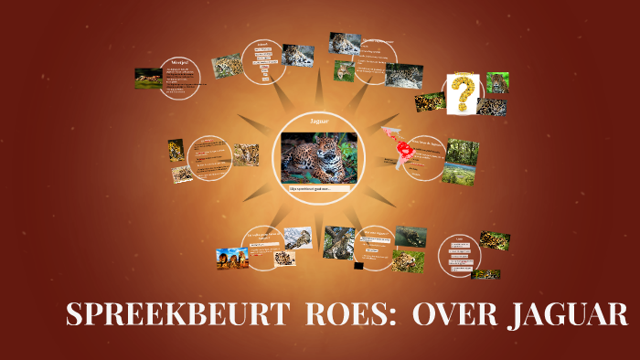 SPREEKBEURT ROES OVER PANTERS by Moos Thorborg on Prezi