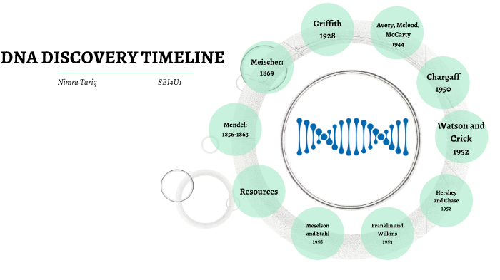 DNA Discovery Timeline by Nimra Tariq on Prezi