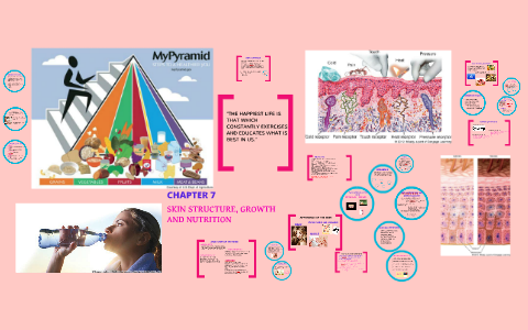 skin structure, growth, and nutrition by Rhonda Lewis on Prezi