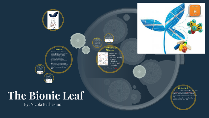 The Bionic Leaf by Nick Barbesino on Prezi