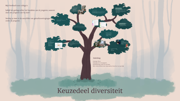 Keuzedeel diversiteit by Gwendolyn Heeremans on Prezi
