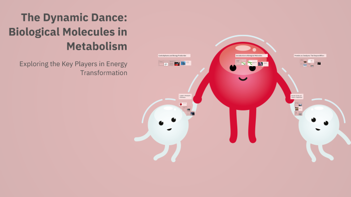The Dynamic Dance: Biological Molecules in Metabolism by Jesselle Kate ...