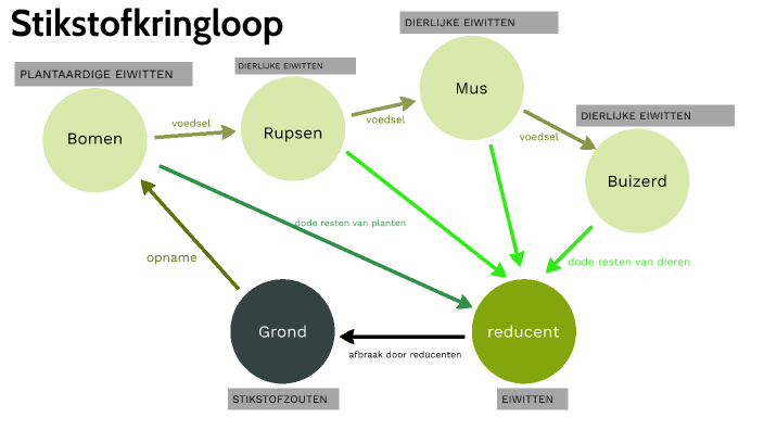 Stikstofkringloop by Zoë Bosker on Prezi