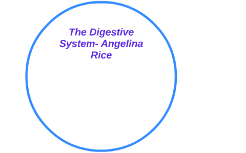 Body Systems Project- Angelina Rice by Angelina Rice on Prezi