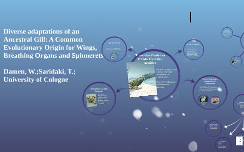 Diverse adaptations of an Ancestral Gill: A Common Evolution by on Prezi