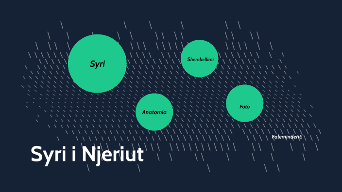 Syri dhe ndertimi i tij by Rita C on Prezi