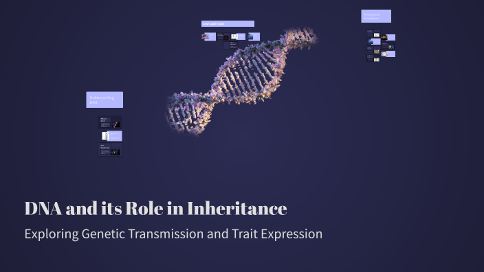 DNA and its Role in Inheritance by Shaima Ali on Prezi