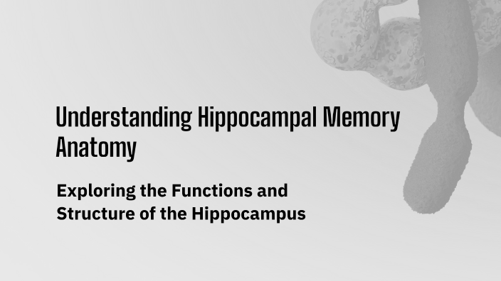 Understanding Hippocampal Memory Anatomy by Yannick Kegel on Prezi