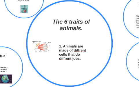 The 6 traits of animals. by kurt anderson on Prezi