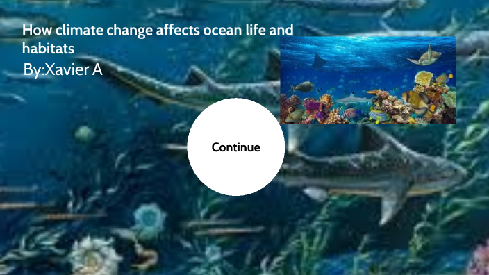 How climate change affects ocean life and habitats by Xavier Alicea on ...