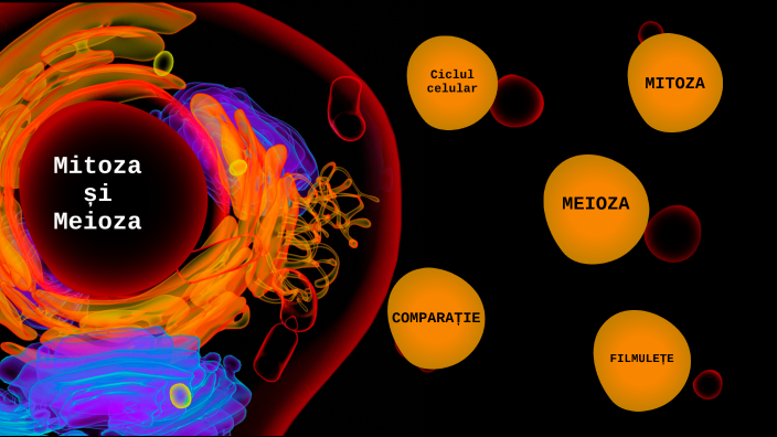 Mitoza si Meioza by Voicu Andreia on Prezi