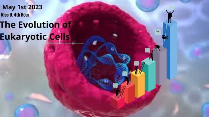 The Evolution of Eukaryotic Cells by Rico Debose on Prezi