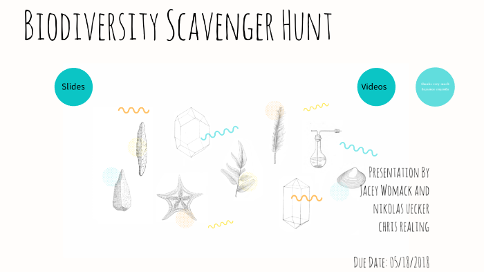 Biodiversity Scavenger Hunt by Nikolas Uecker on Prezi