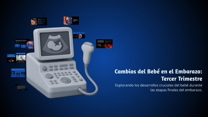 Cambios del Bebé en el Embarazo: Tercer Trimestre by Helen Navarro on Prezi