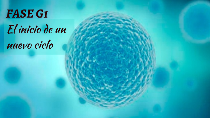 Fase G1 ciclo celular by Jose D Jesus Aguiilar on Prezi
