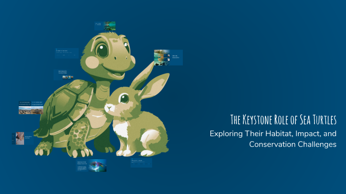 The Keystone Role of Sea Turtles by Alaina Johnson on Prezi