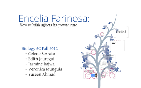 Biology 5C Presentation by Yaseen Ahmad on Prezi