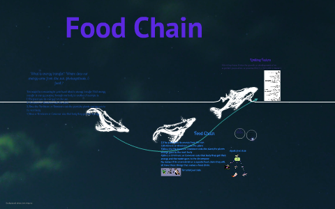 Food Chain by miguel montoya on Prezi