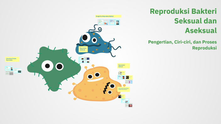 Reproduksi Bakteri Seksual dan Aseksual by Arifah Naura on Prezi