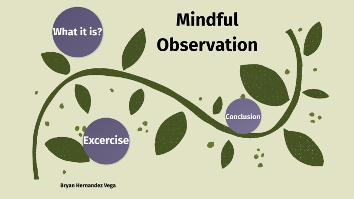 Mindful observation by Bryan Hernandez on Prezi