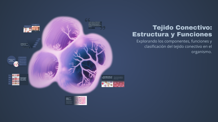 Tejido Conectivo: Estructura y Funciones by Cherdens Laguerre on Prezi