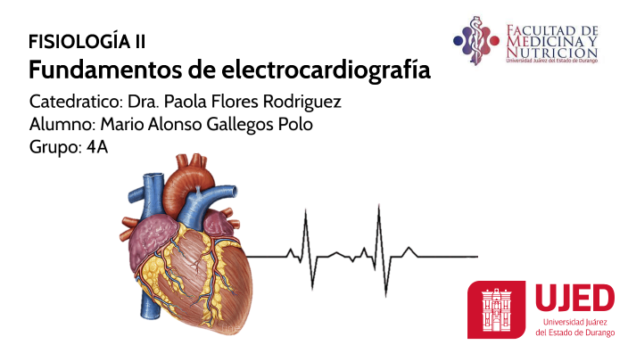 EKG by Mario Alonso Polo on Prezi