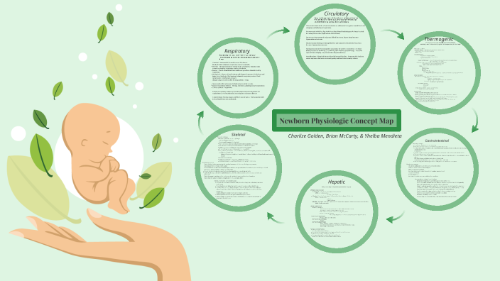 Newborn Concept Map by Charlize Golden on Prezi