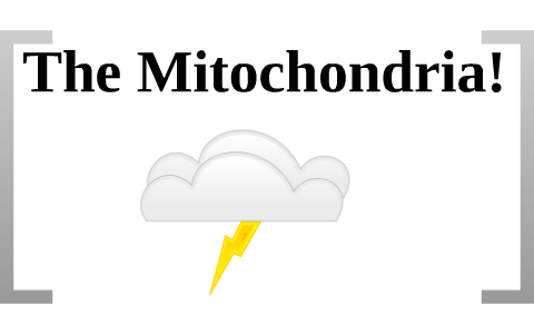 Mitochondria for Cell President by Matthew Lavoie on Prezi