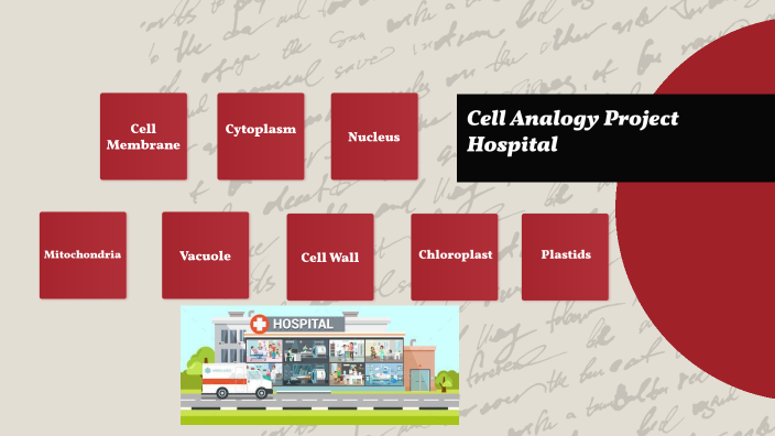 Hospital Cell Analogy Project by Arya Gaur on Prezi