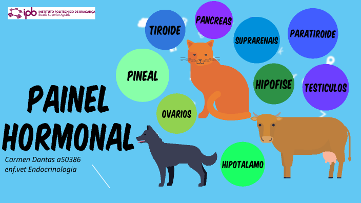 painel hormonal by carmen dantas on Prezi