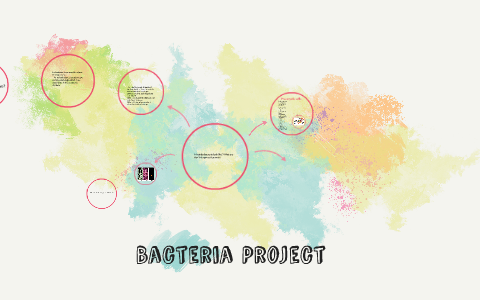 What do bacteria look like? What are the 3 shapes of bacteri by Arnold ...