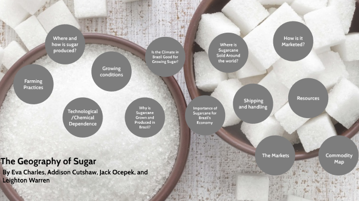 Geography of Sugar by Addison Cutshaw on Prezi