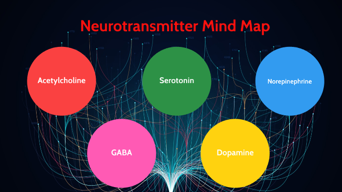 Neurotransmitter Mind Map by David Stevens on Prezi