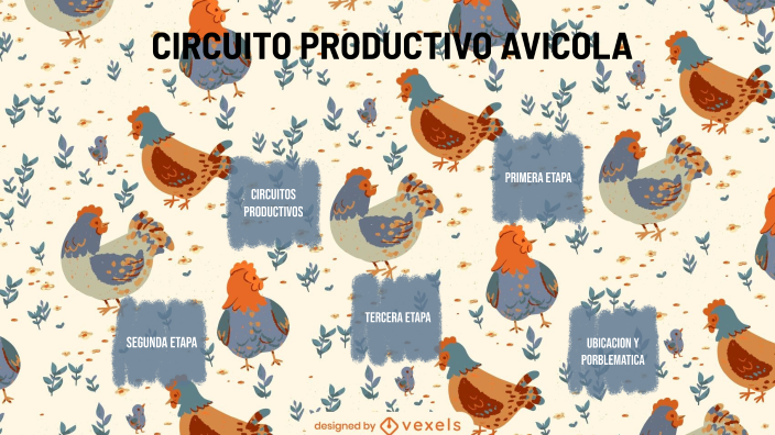 Circuito Productivo Avicola by aagoos :(: on Prezi