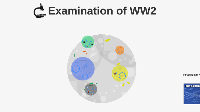 Examination of WW2 by Andrew Waycaster on Prezi