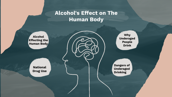 Alcohol's Effect on The Human Body by Morgan Ruff on Prezi