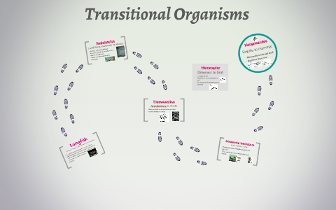 Transitional Organisms by Skye Silvermann on Prezi