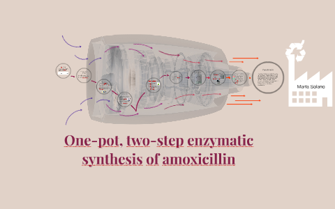 One-pot, two-step enzymatic synthesis of amoxicillin by Marta Solano on ...
