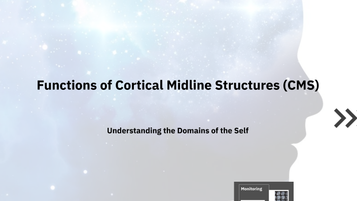 Functions of Cortical Midline Structures (CMS) by Lucía Navarro ...