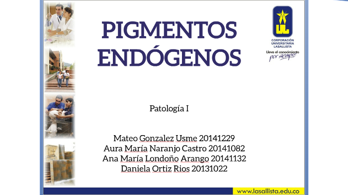 Pigmentos endogenos by Ana Maria Londoño on Prezi