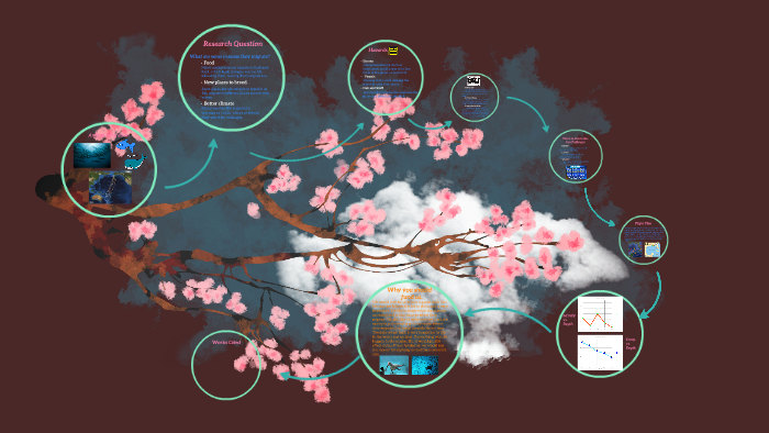 GLIDERS by Sara Bledsoe on Prezi