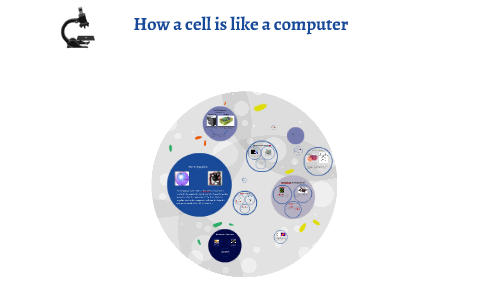 How a cell is like a computer by Anton Oppermann on Prezi