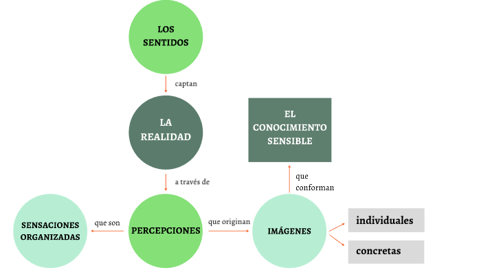 Conocimiento sensible by María Elena Higueruelo Illana on Prezi