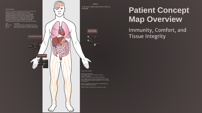 Patient Concept Map Overview by Carlee Cilk on Prezi