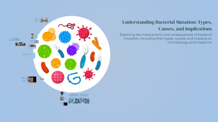 Understanding Bacterial Mutation: Types, Causes, and Implications by ...
