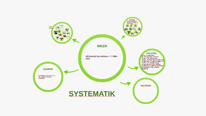 SYSTEMATIK by Hanna Raak on Prezi