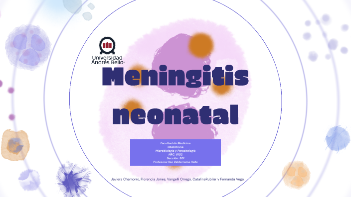 meningitis neonatal by Javiera Chamorro on Prezi